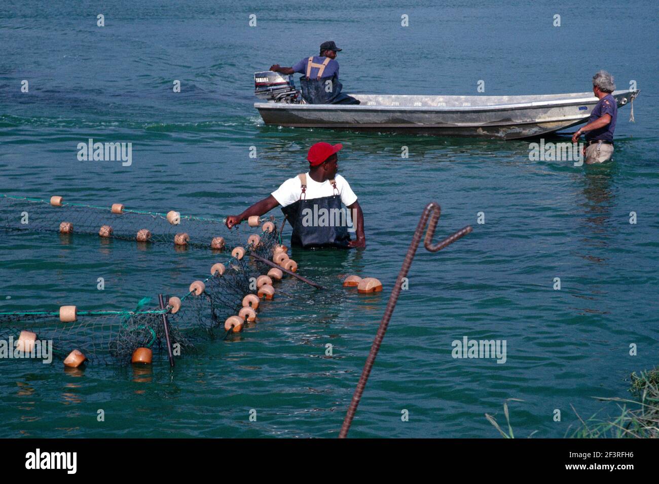Mississippi USA Fisherman working at Cat Fish Farm Stock Photo - Alamy