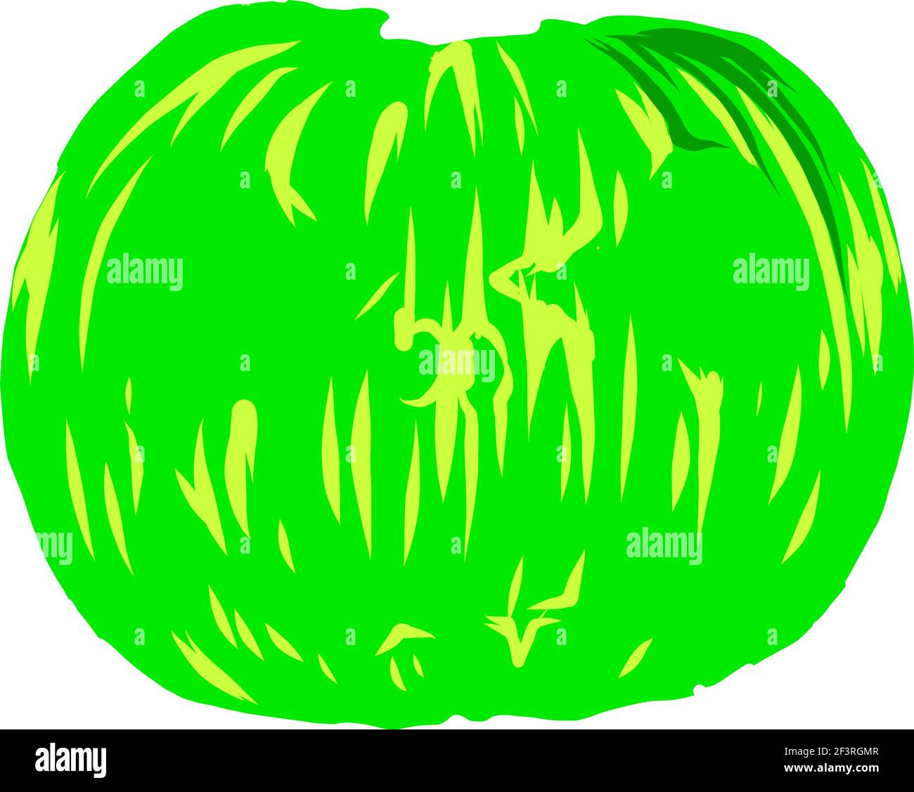 Lantern plant illustration Cut Out Stock Images & Pictures - Alamy