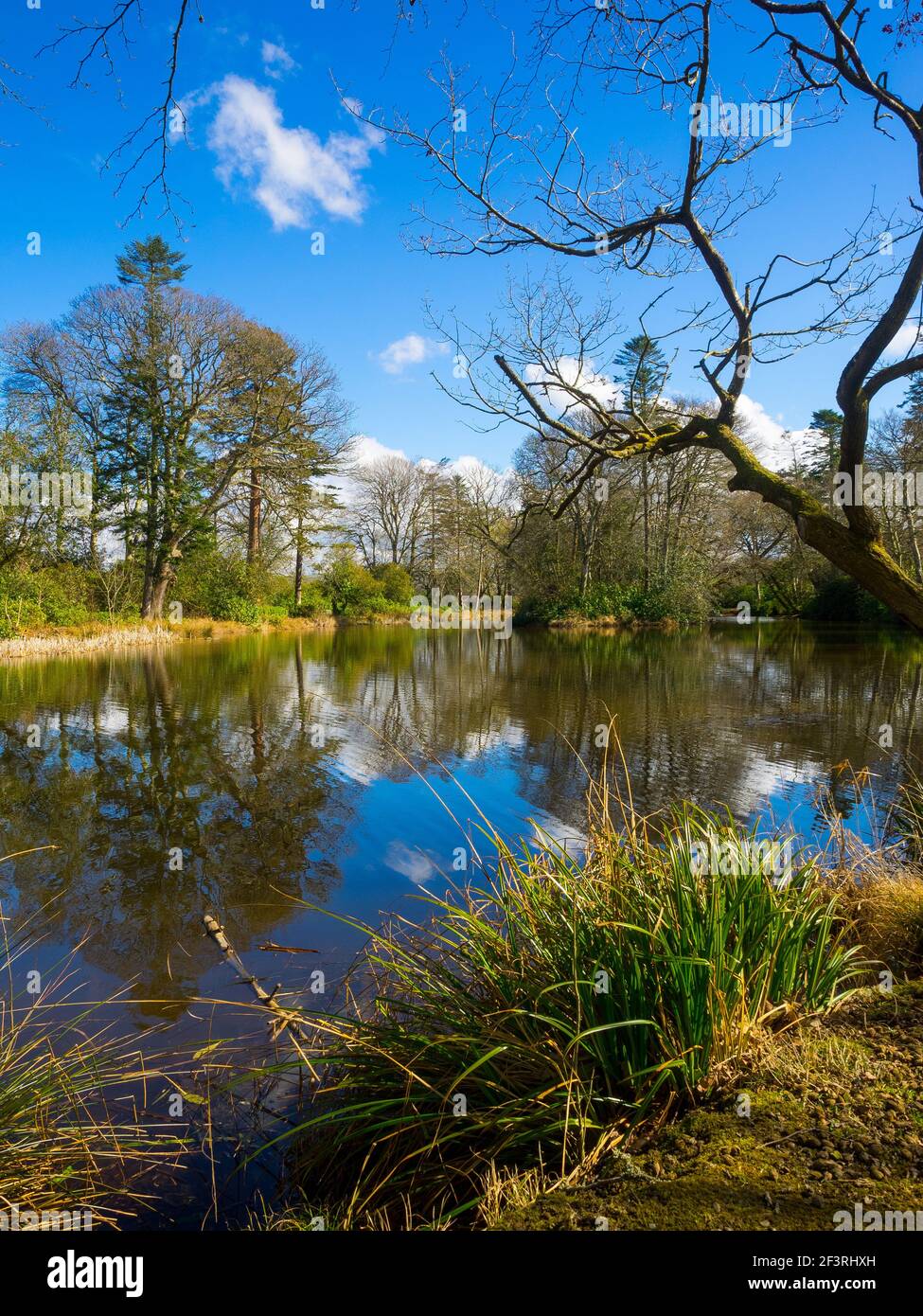 Reflections on a peaceful lake in Wales Stock Photo - Alamy