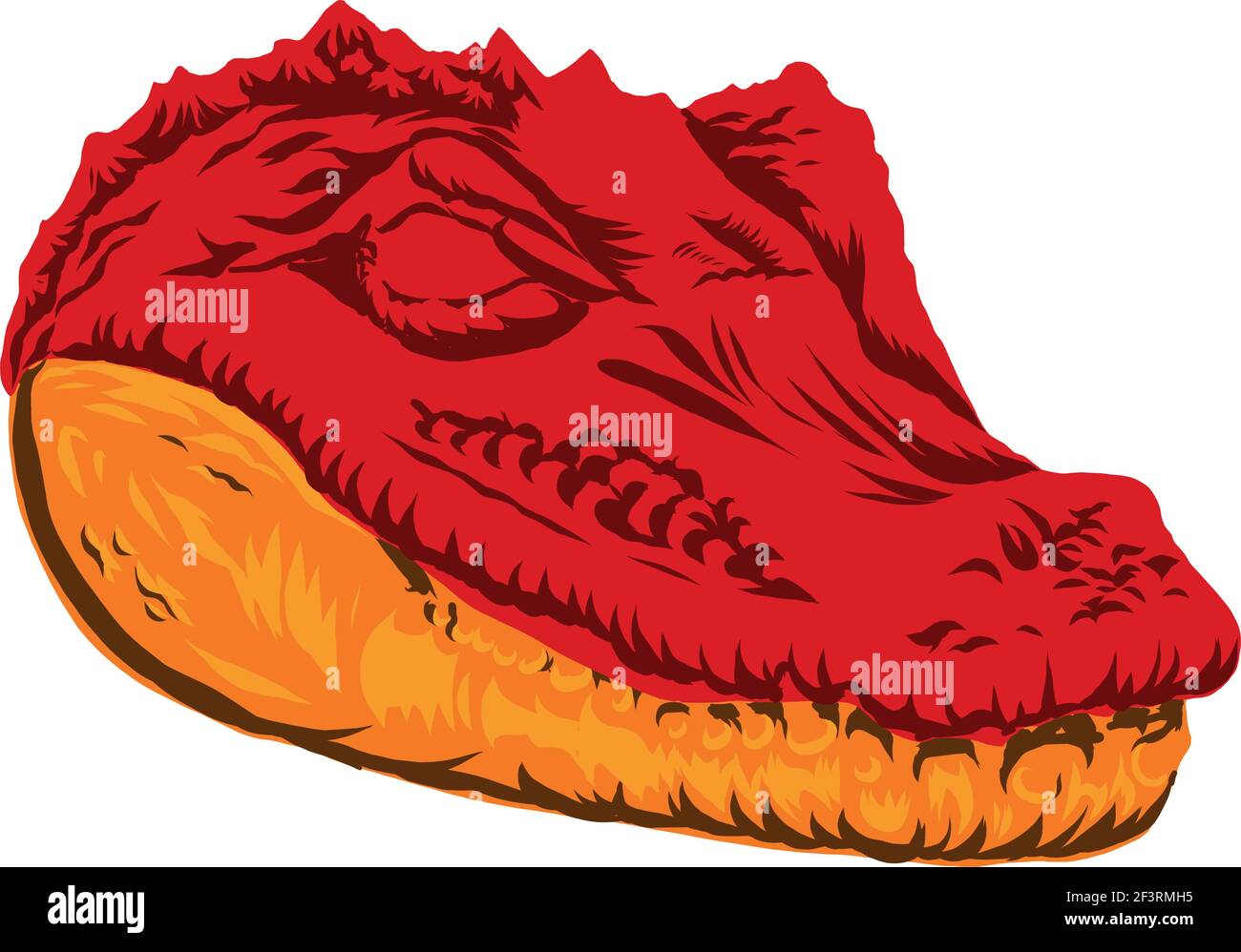 Vector illustration of crocodile head with hat Stock Vector Image & Art ...