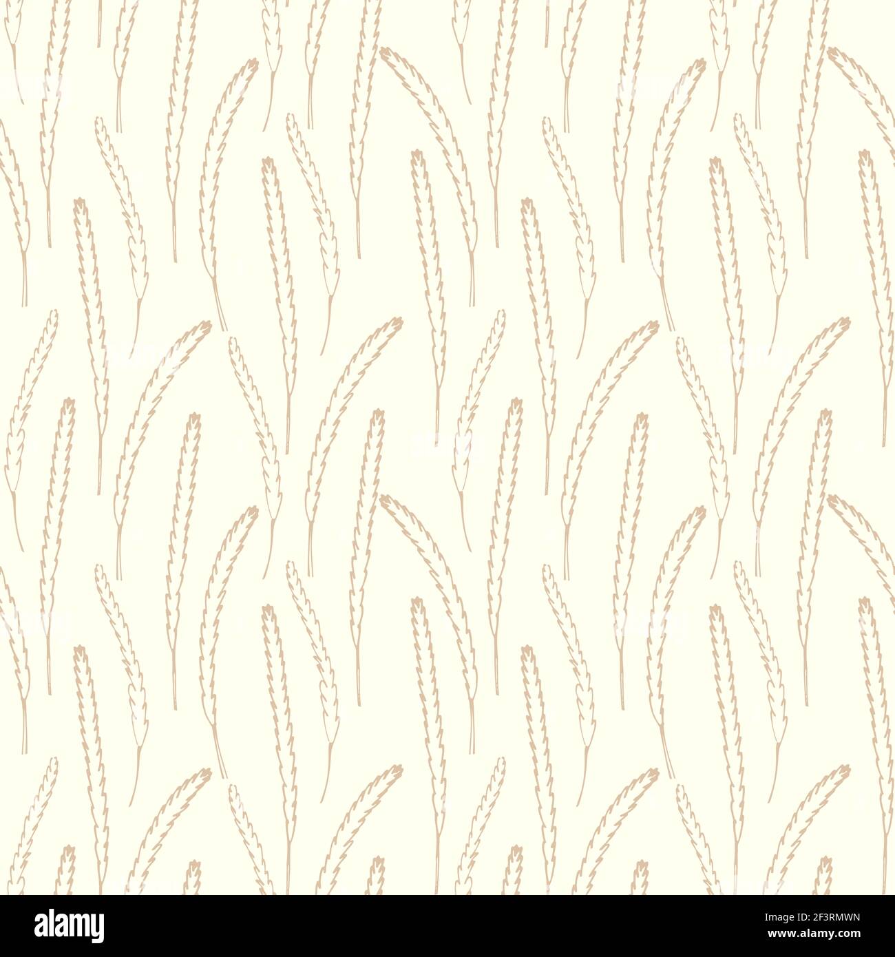 Seamless background with spikelets of wheat. Spikelets of cereals ...