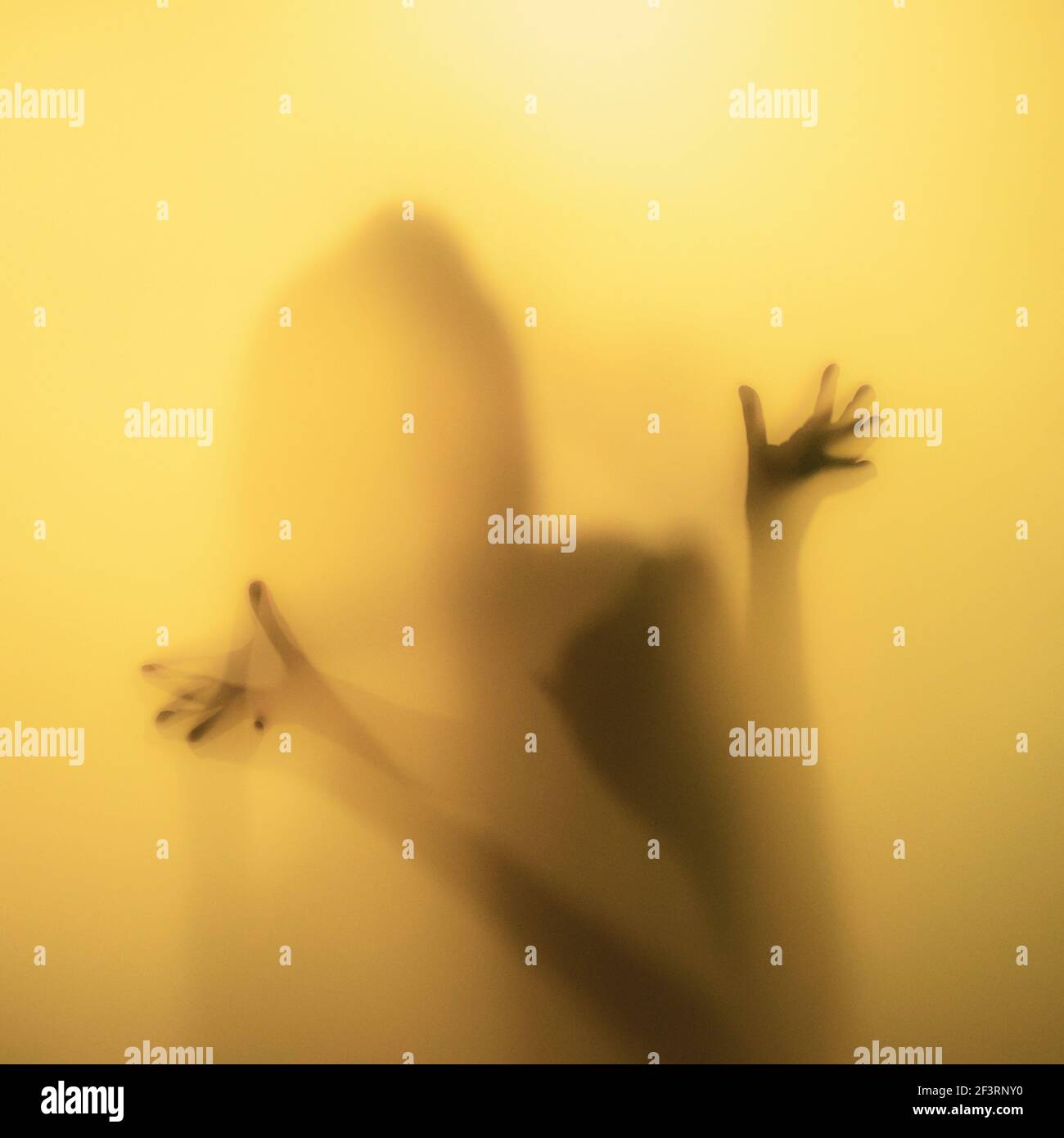 Shadow silhouette of a woman Stock Photo - Alamy