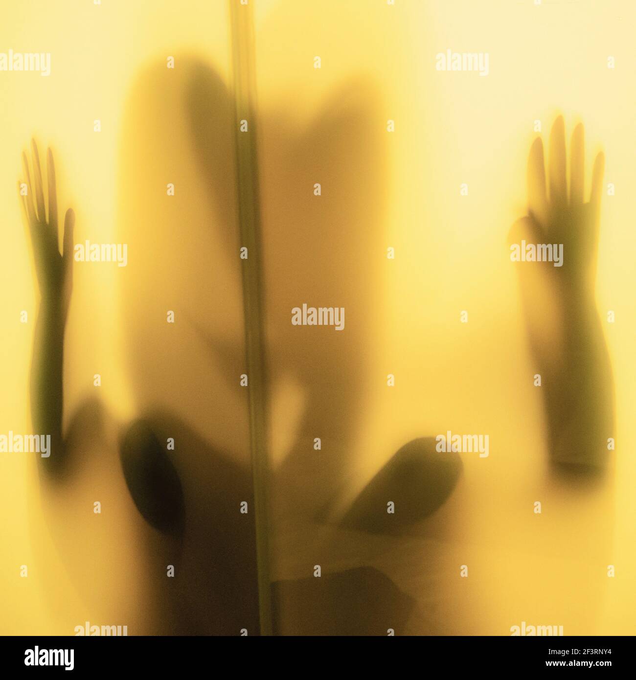 Shadow silhouette of a woman Stock Photo - Alamy