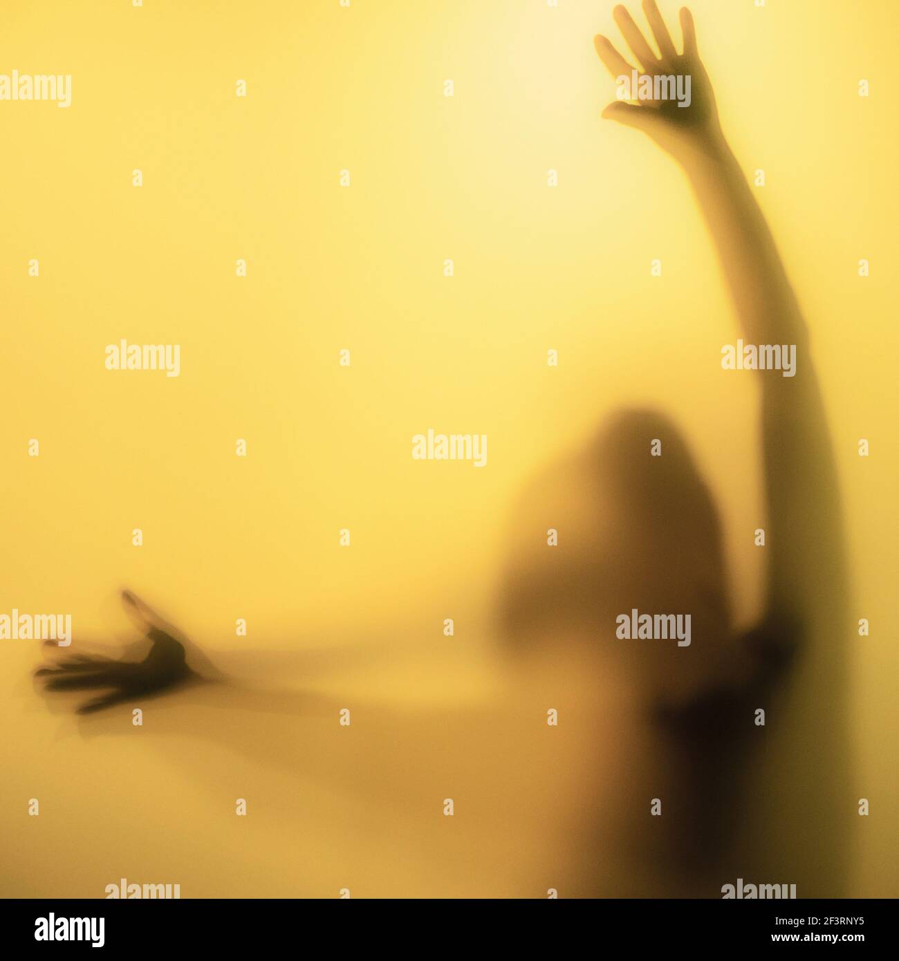 Shadow silhouette of a woman Stock Photo - Alamy