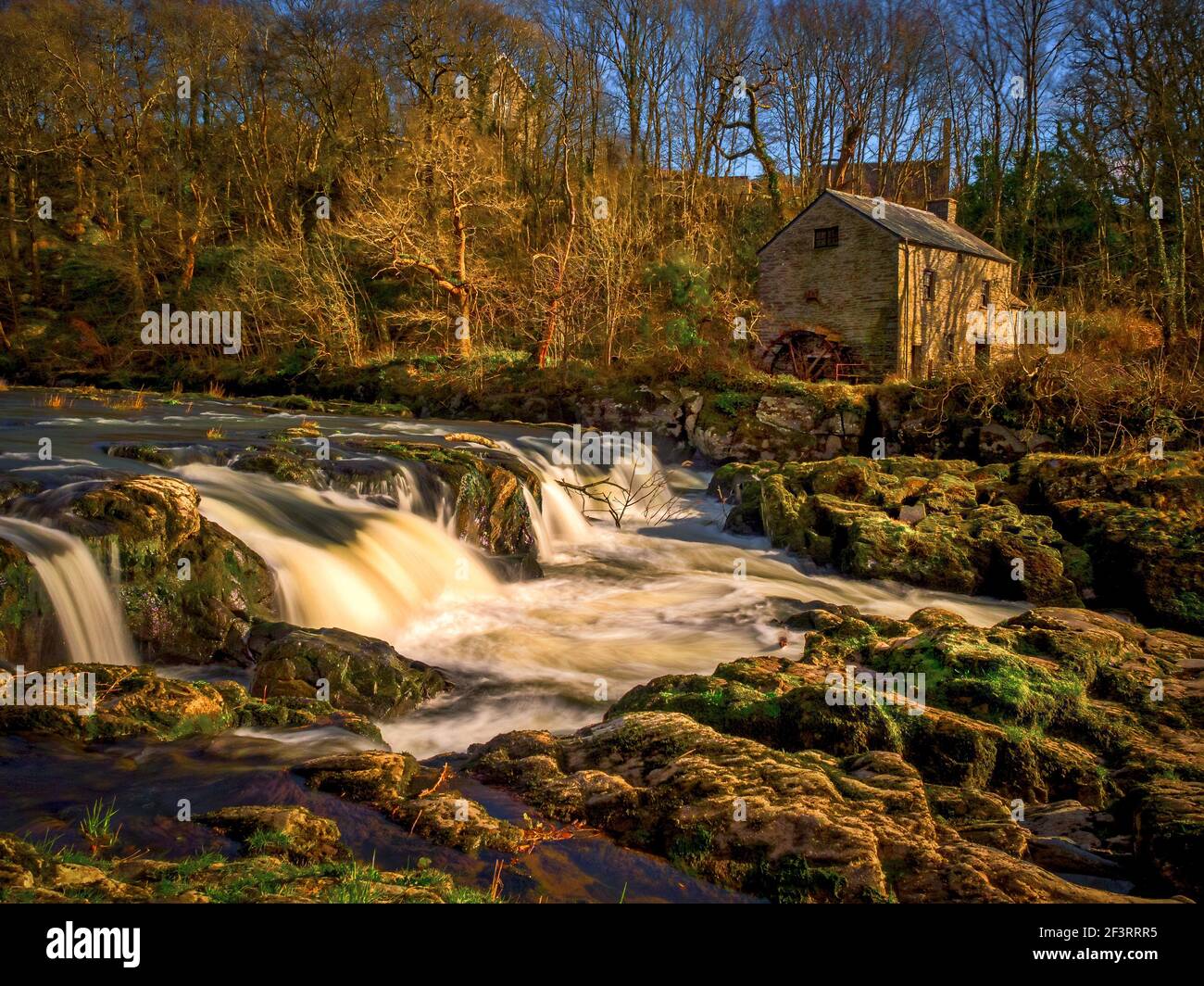 Cenarth falls hi-res stock photography and images - Alamy