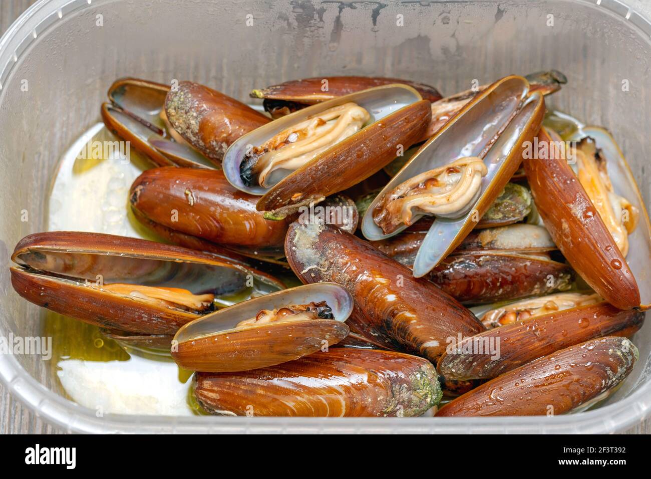 Date mussel hi-res stock photography and images - Alamy