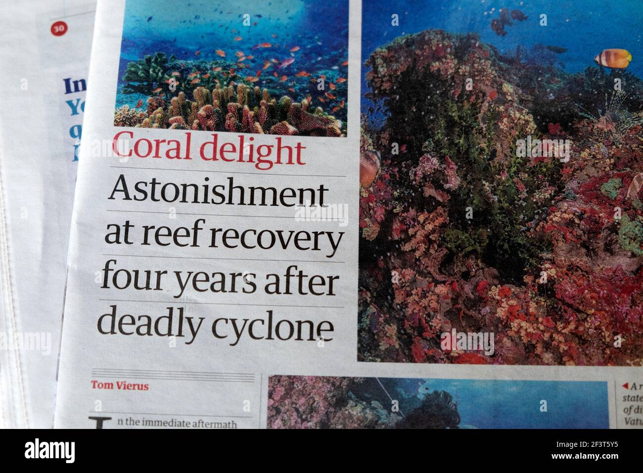 "Coral delight Astonishment at reef recovery four years after deadly ...