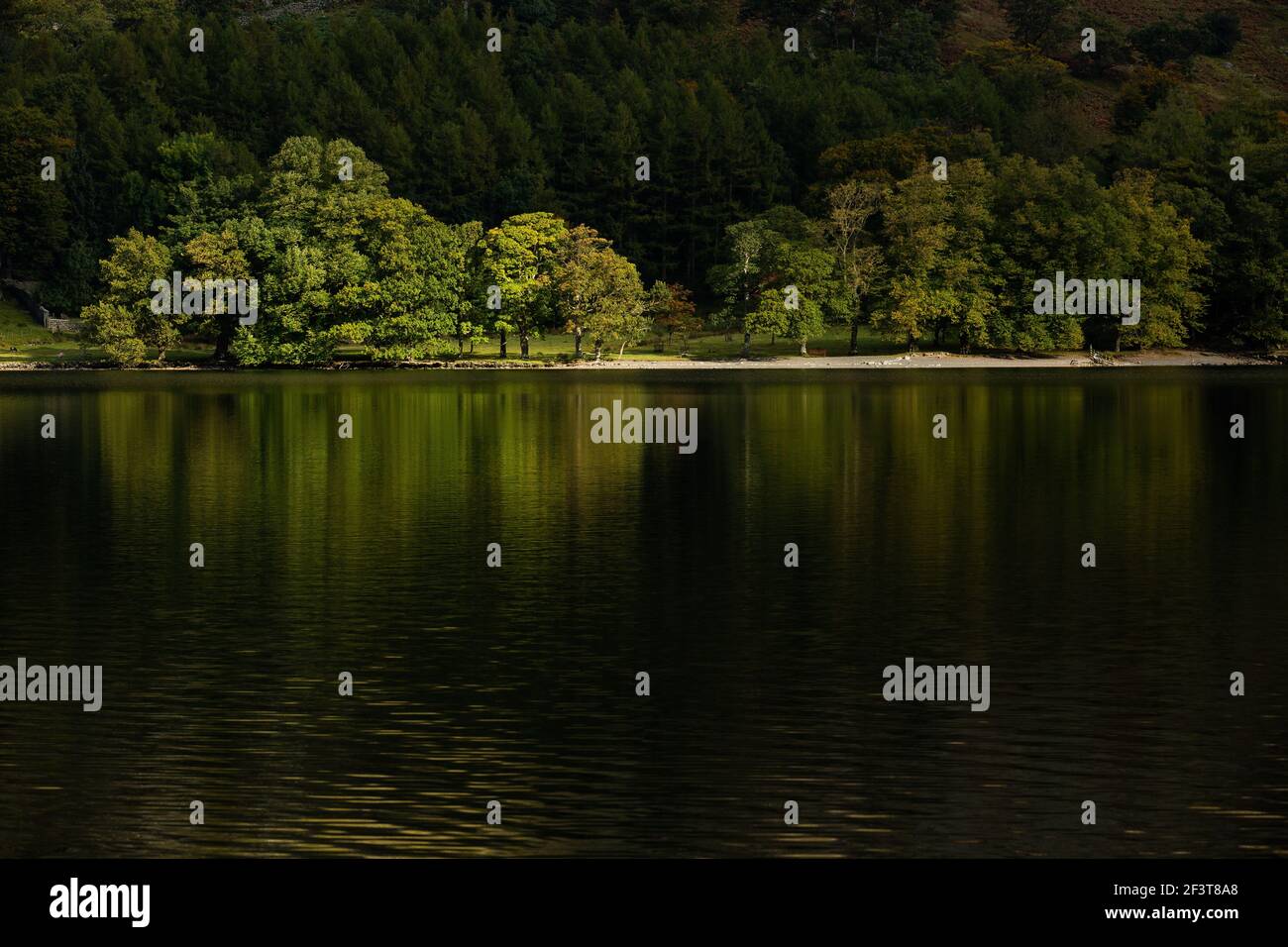 Buttermere water in the Lake District Stock Photo - Alamy