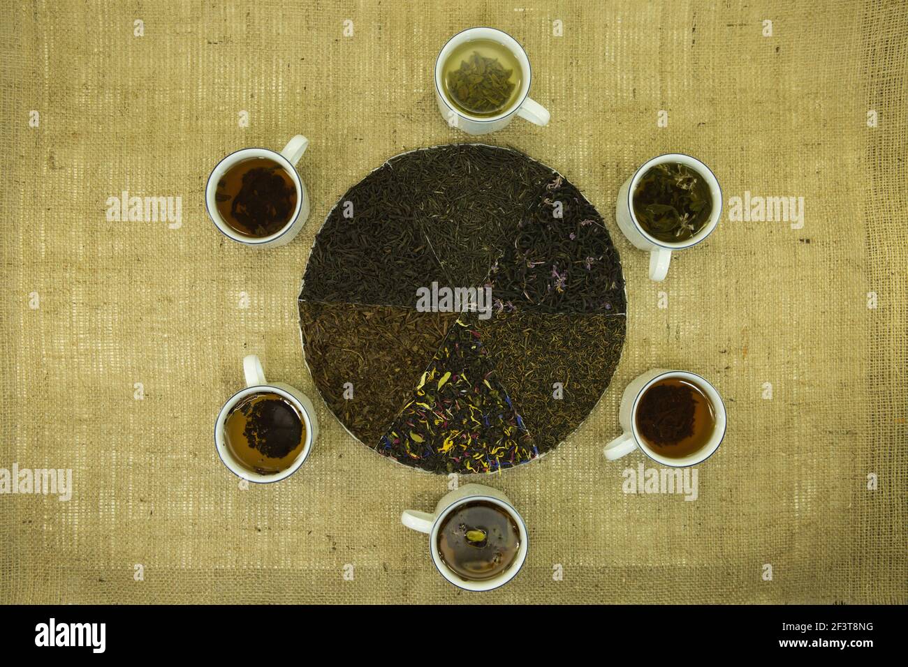 Eyebrows of golden beauty tea hi-res stock photography and images - Alamy