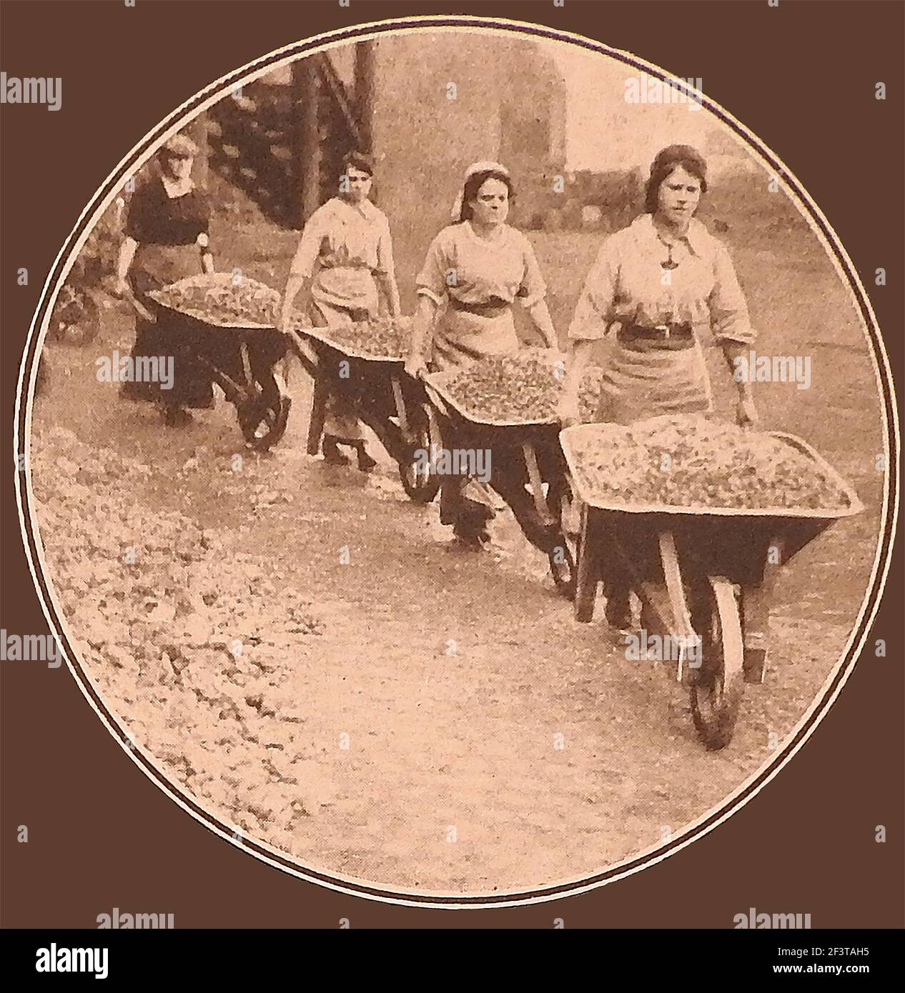 Women during ww1 hi-res stock photography and images - Alamy