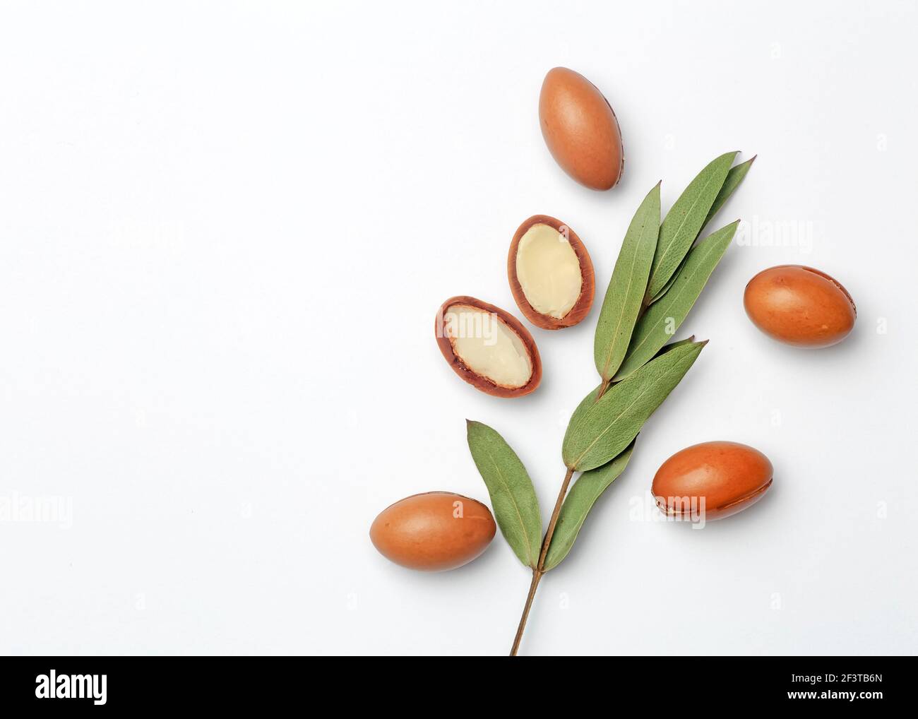 Argan seeds isolated on a white background. Argan oil nuts with plant ...