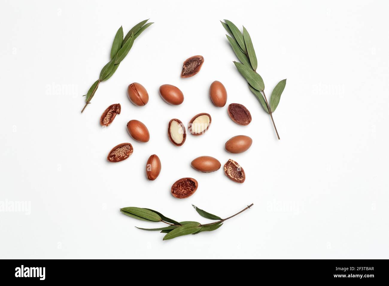 Argan seeds isolated on a white background. Argan oil nuts with plant ...