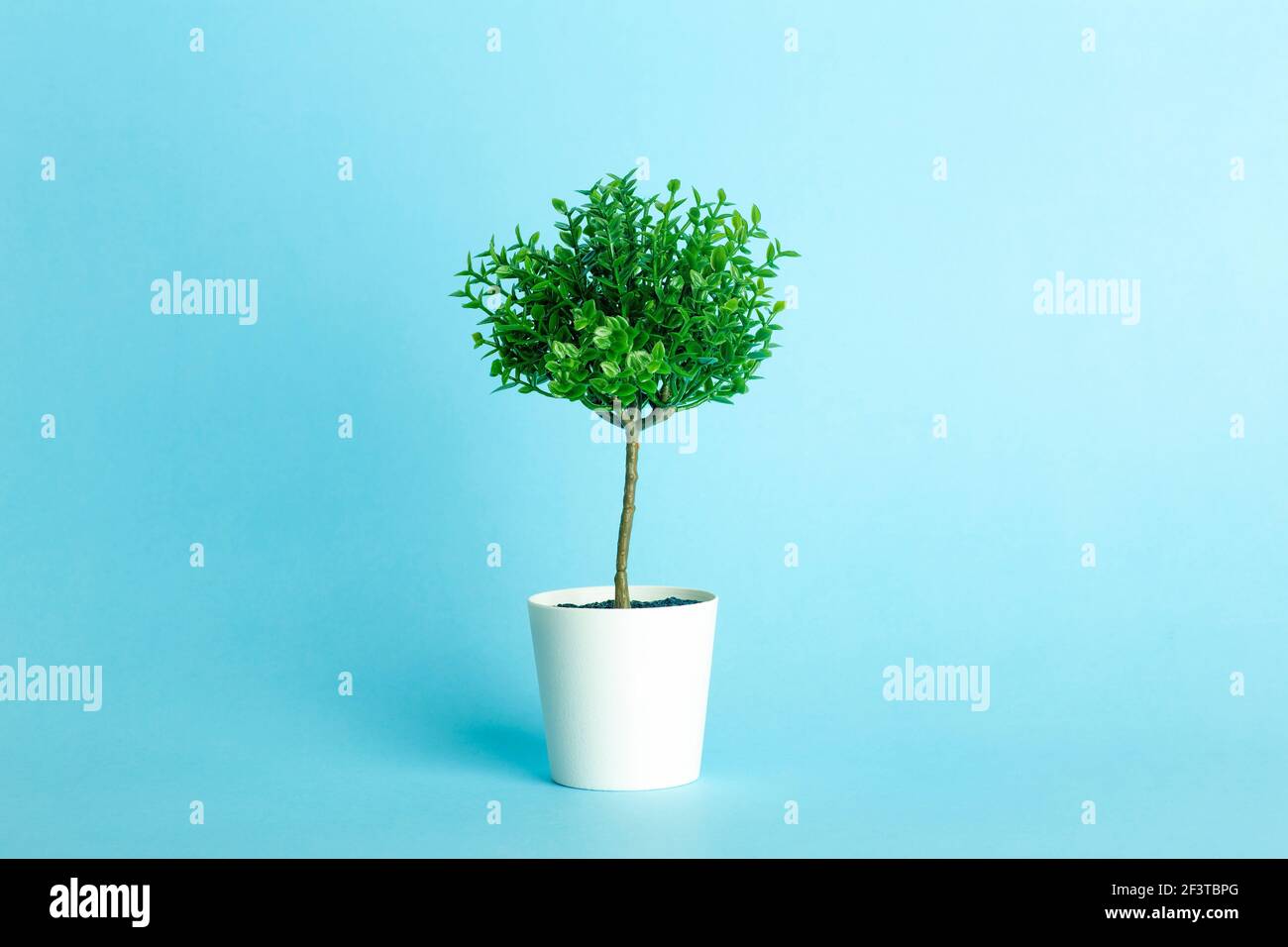 Artificial tree plant on an empty colored blue nature background ...