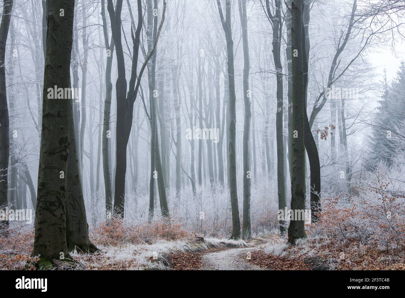 Sopron mountains hi-res stock photography and images - Alamy