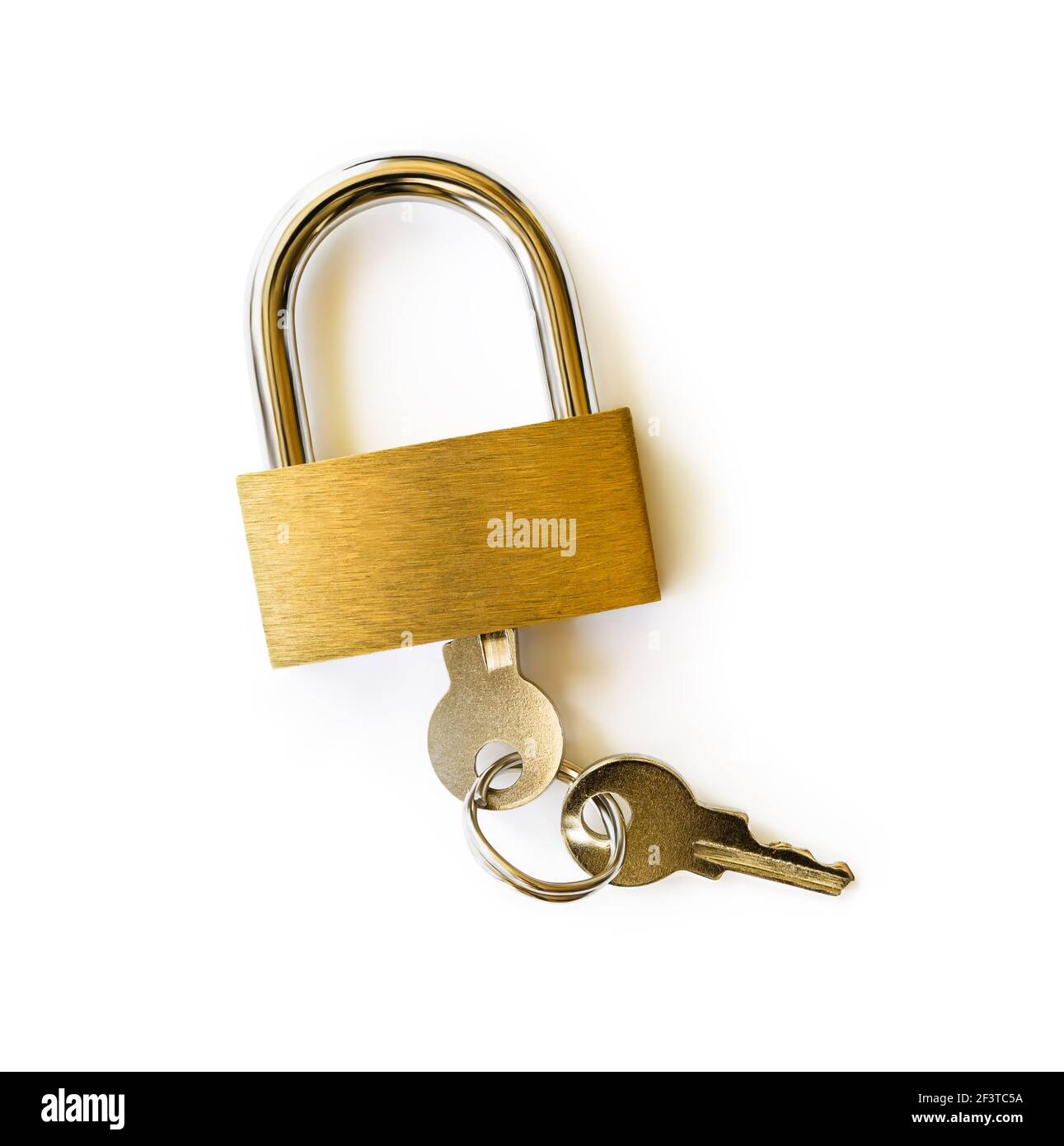 Protection security detail in Cut Out Stock Images & Pictures - Alamy