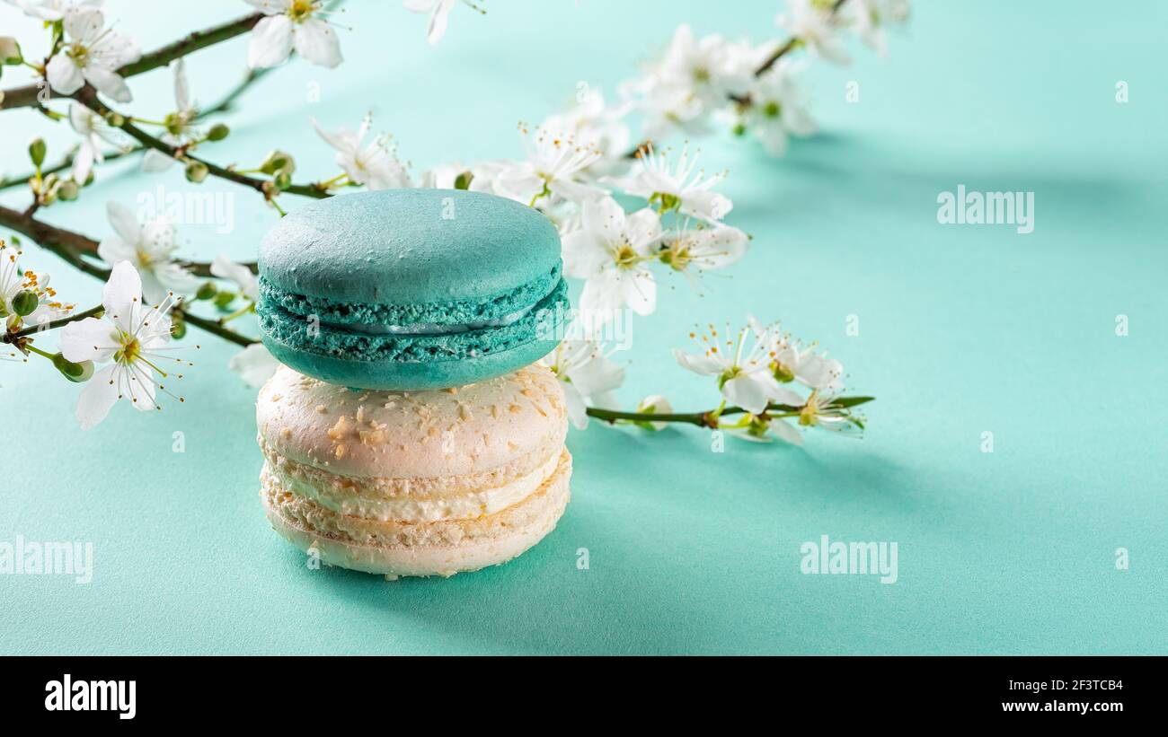 White and turquoise macaroons and spring cherry blossom against ...