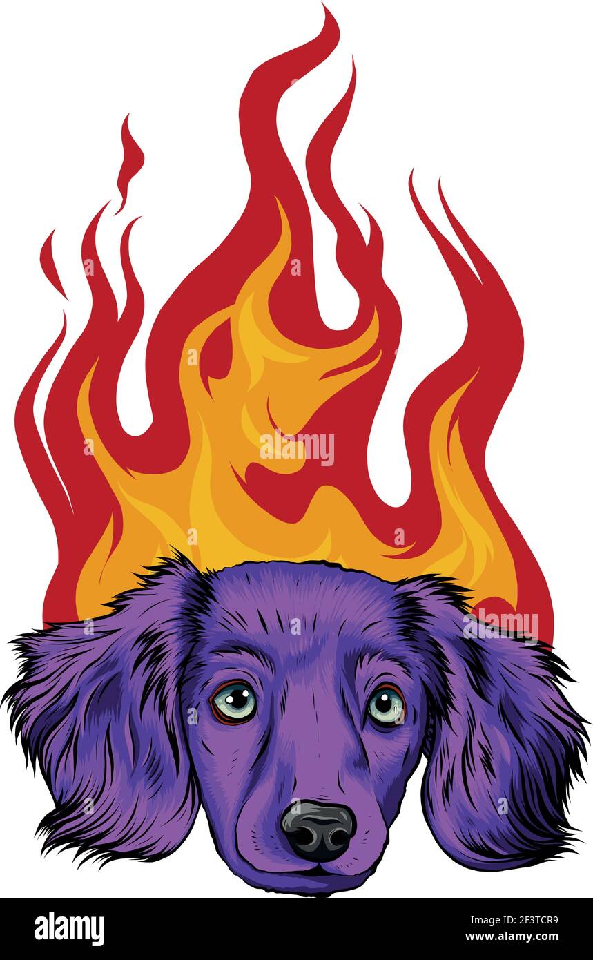 puppy Dog with Flame ornaments vector illustration Stock Vector Image ...