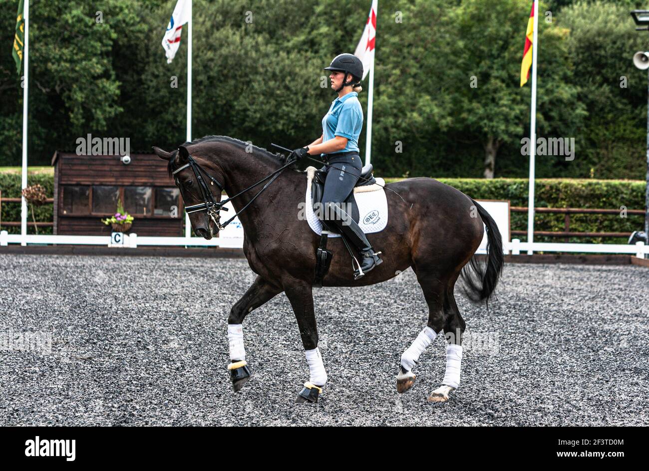 Horse riding exercises hi-res stock photography and images - Alamy