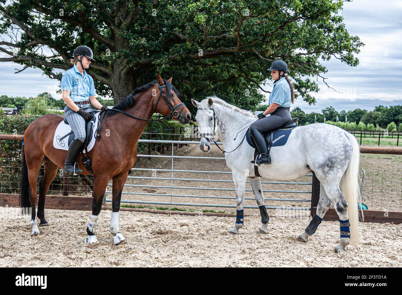 Female horse riders hi-res stock photography and images - Alamy