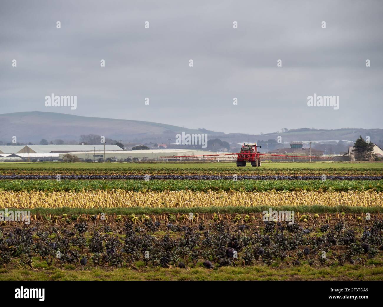 Modern agriculture hi-res stock photography and images - Alamy