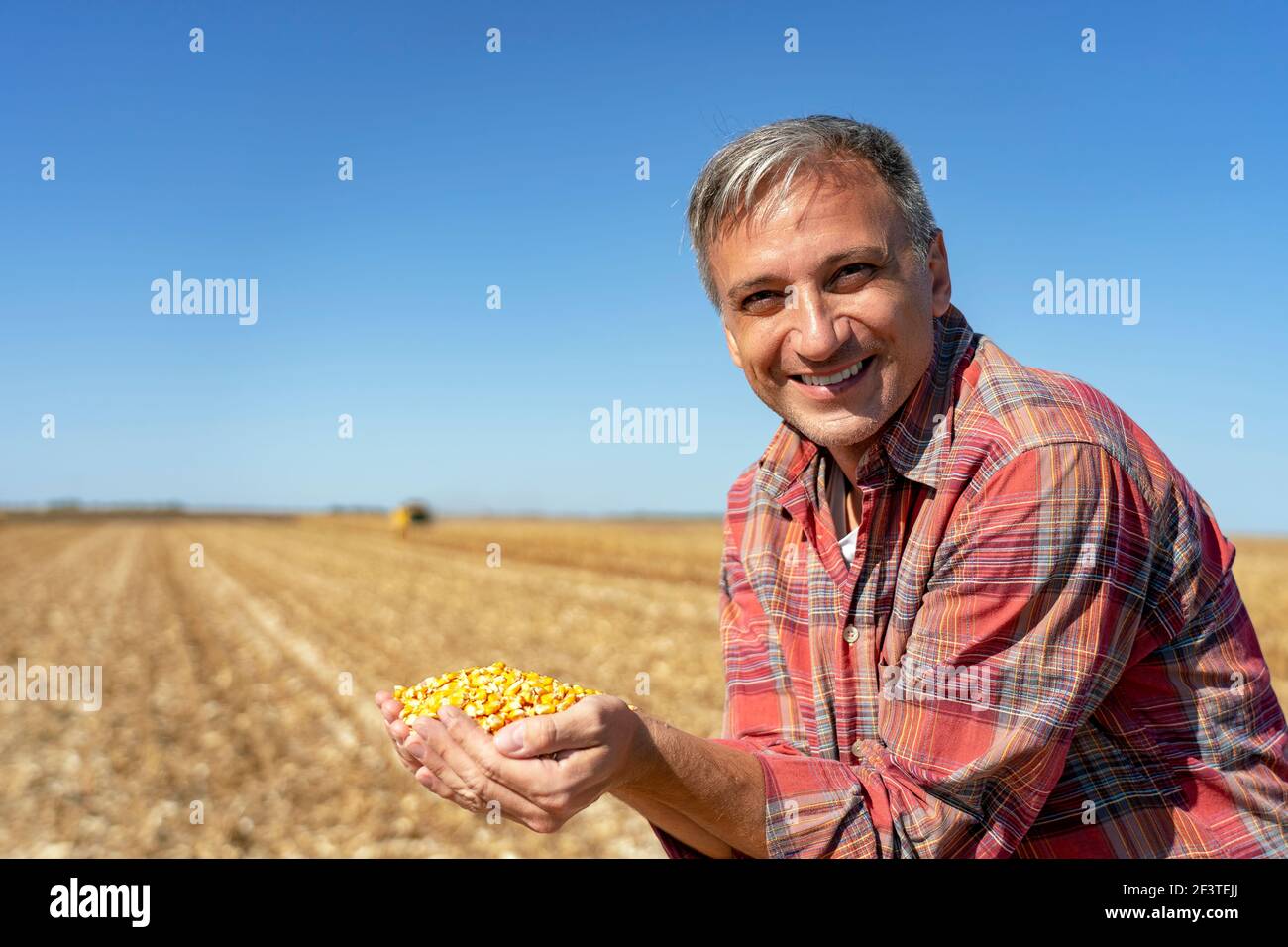 Farmer's Hands Holding Harvested Grain Corn. Happy Farmer with Corn ...