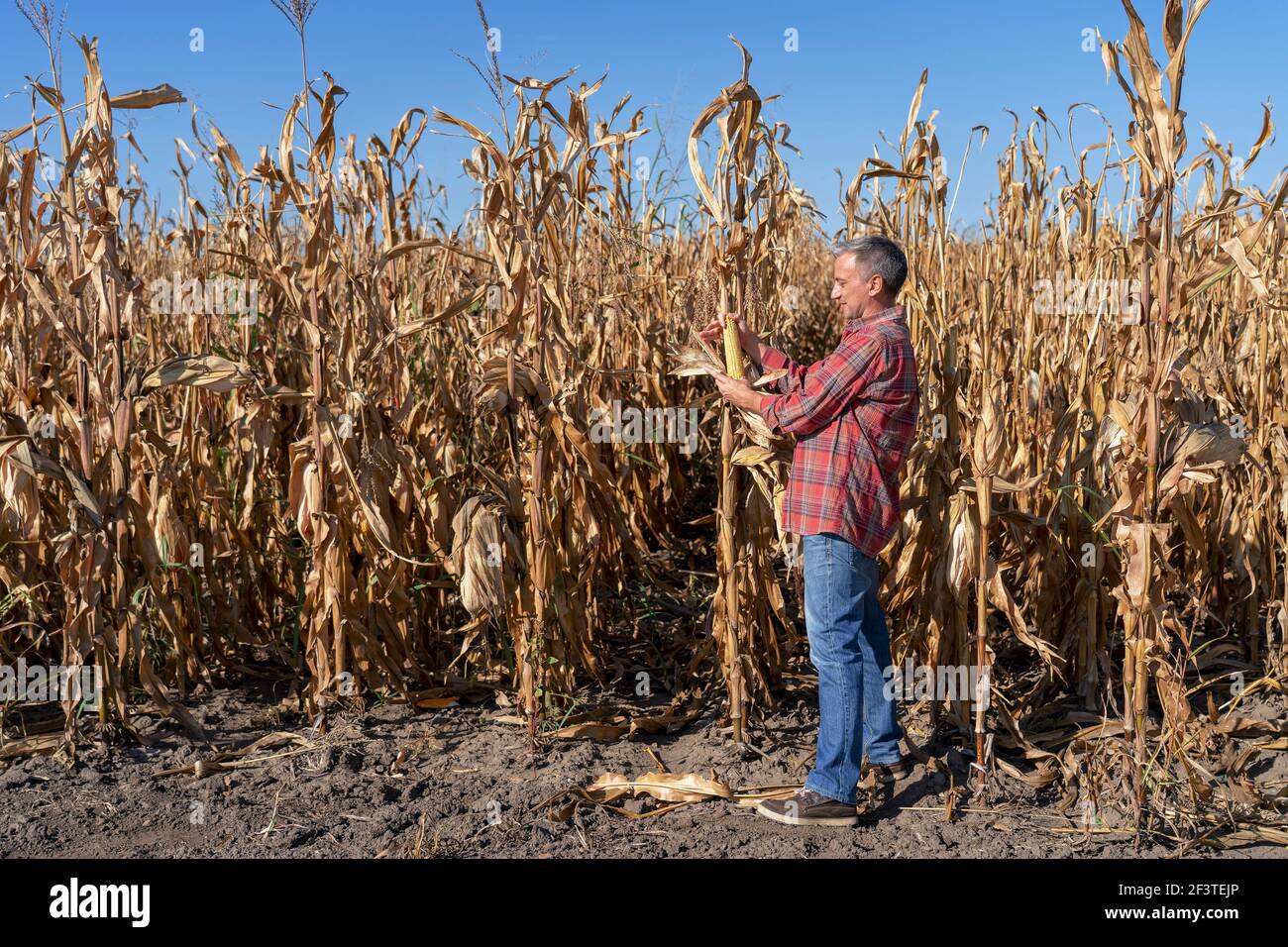 Farmer production hi-res stock photography and images - Alamy