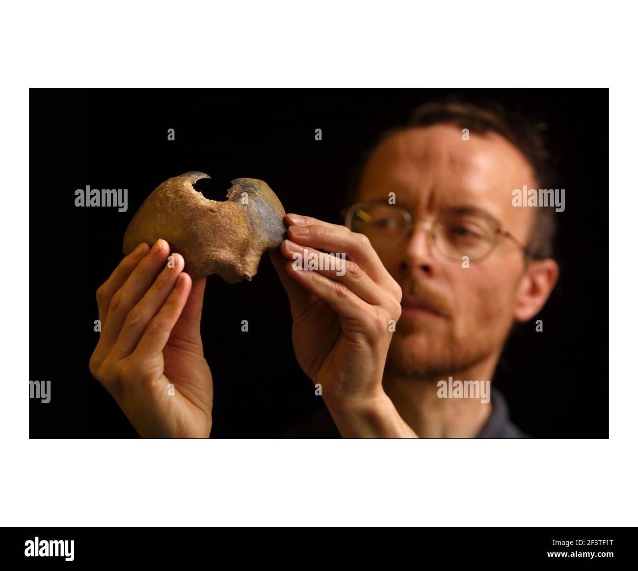 A Bronze Age skull retrieved from the banks of the river Thames at ...