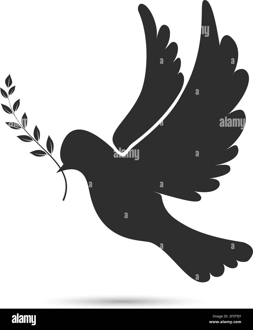 Dove flying with olive branch in beak Stock Vector Images - Alamy