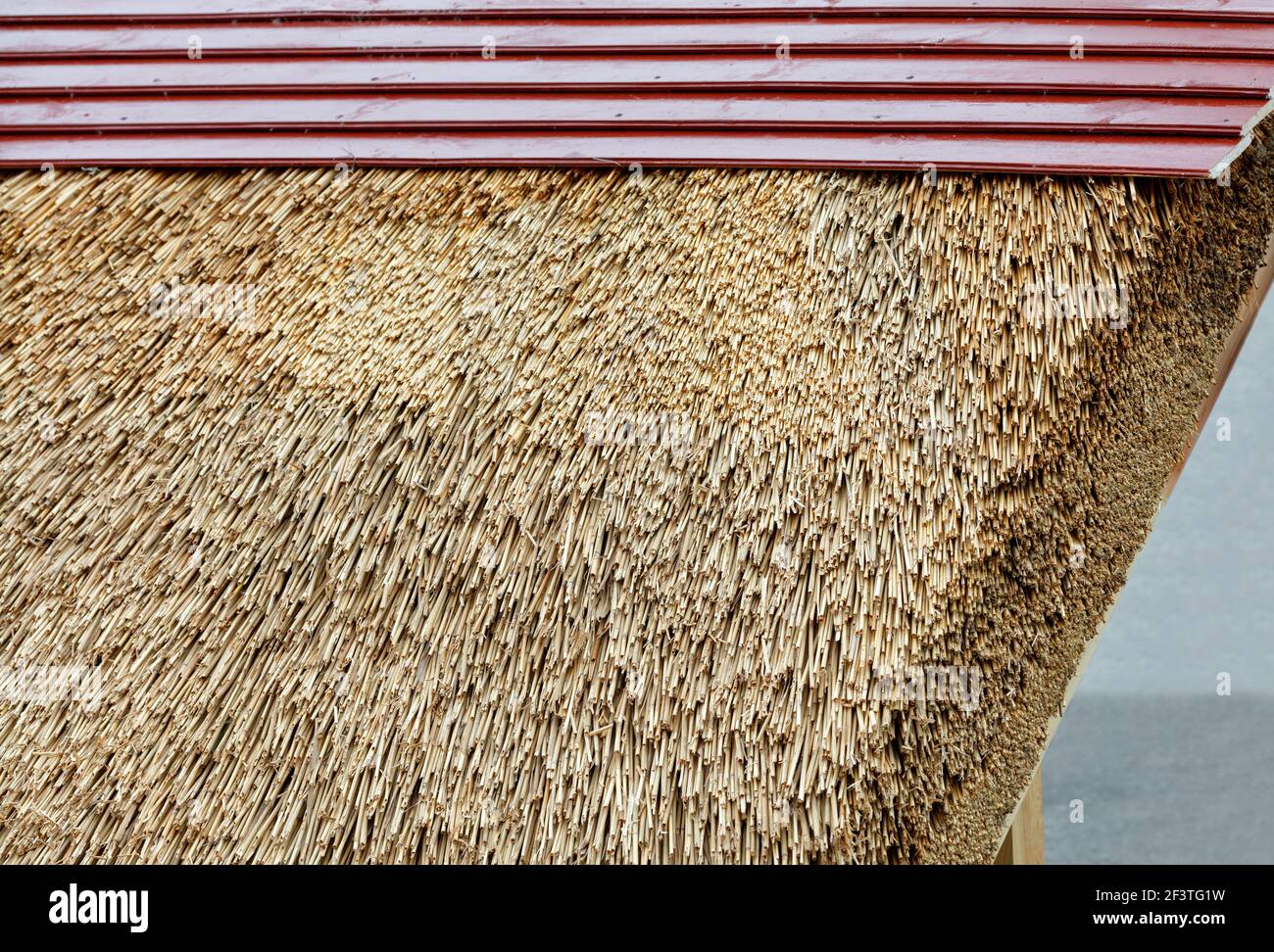 Thatch Insulation High Resolution Stock Photography and Images - Alamy