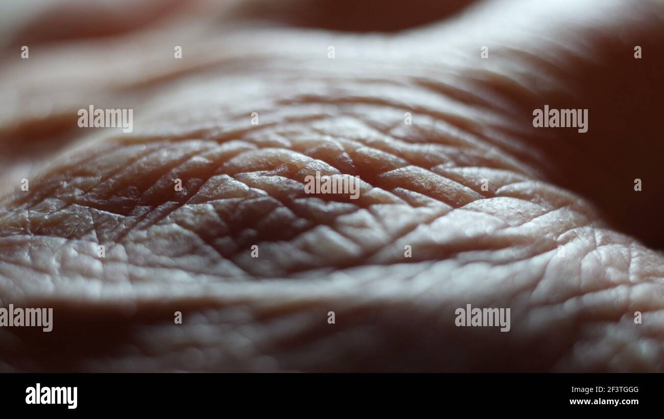 Close up of human skin Stock Photo - Alamy