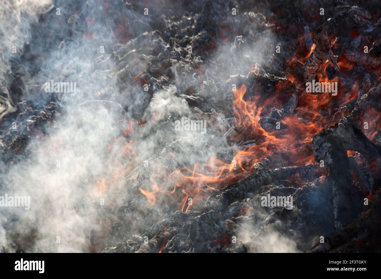 Image of a pile burning in a fire controlled and caused during the ...