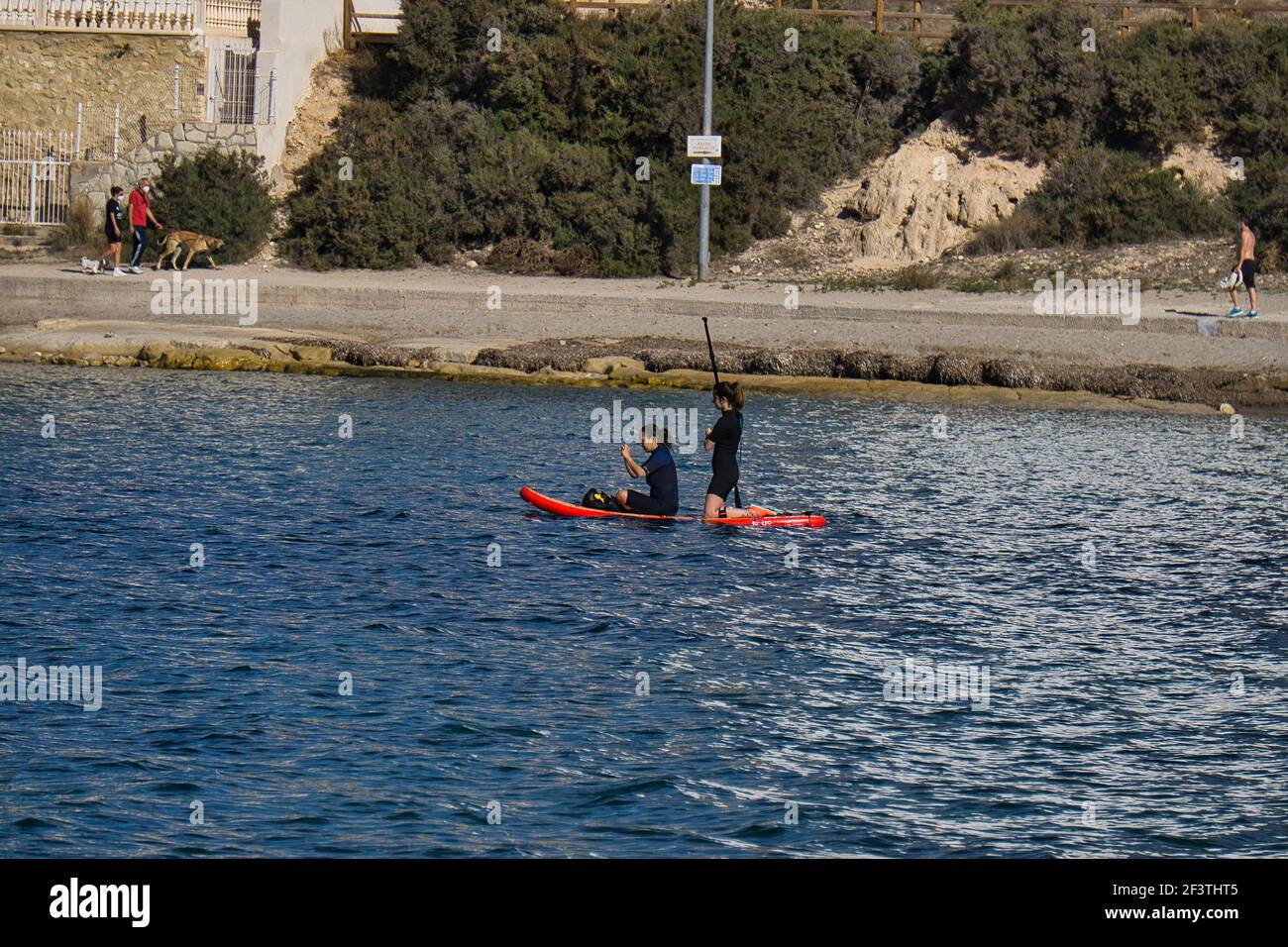paddle surfing on the beach, located in Alicante, Spain. View Stock ...