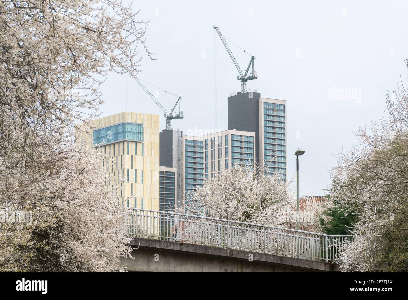 View of Woking town from the Basingstoke Canal, with the new high-rise ...