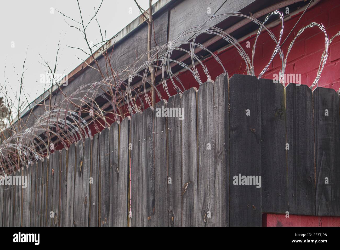 Razor 03 hi-res stock photography and images - Alamy