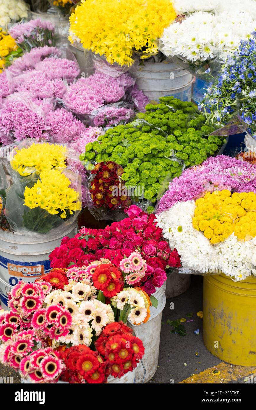 Colorful flower bouquets at Paloquemao Market Square, Bogota, Colombia ...