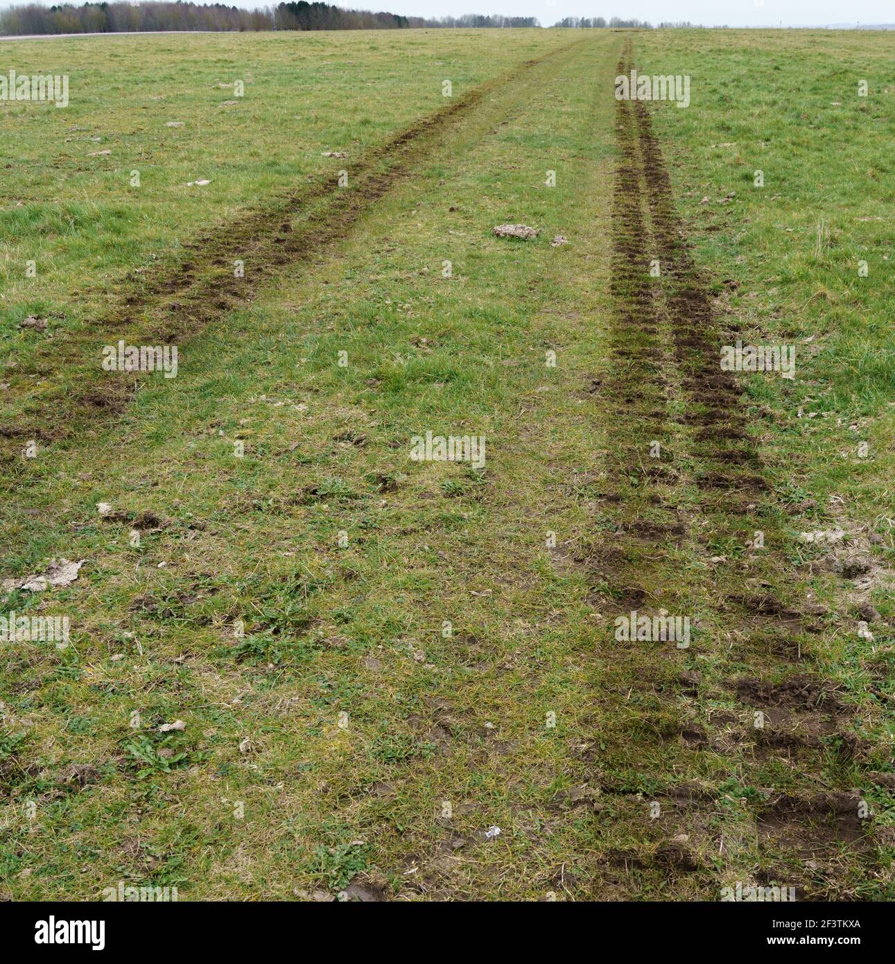 tank tracks from a Challenger II main battle tank operating in a ...