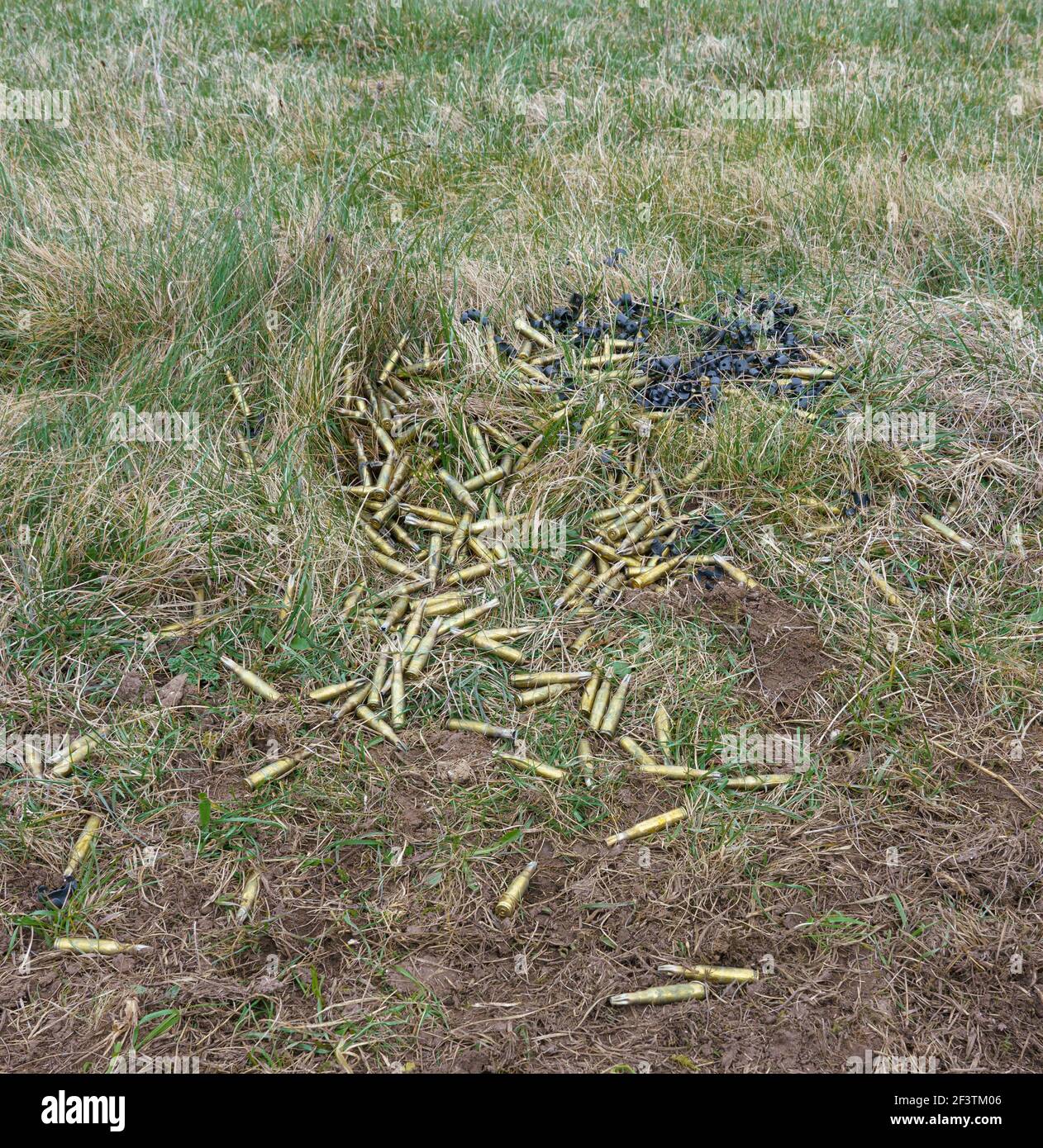 a collection of used British Army soldier bullet casings at a sniper ...