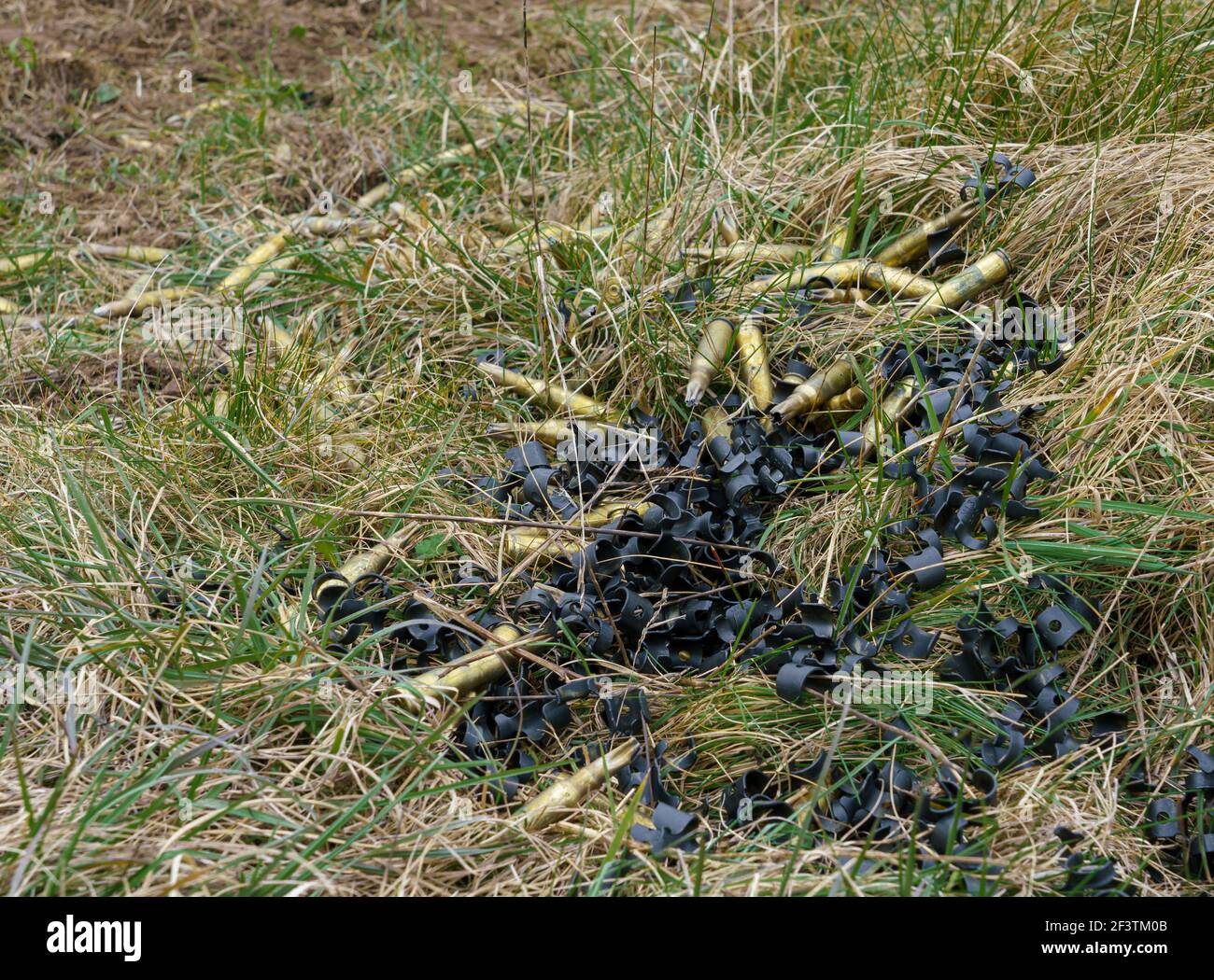 a collection of used British Army soldier bullet casings at a sniper ...