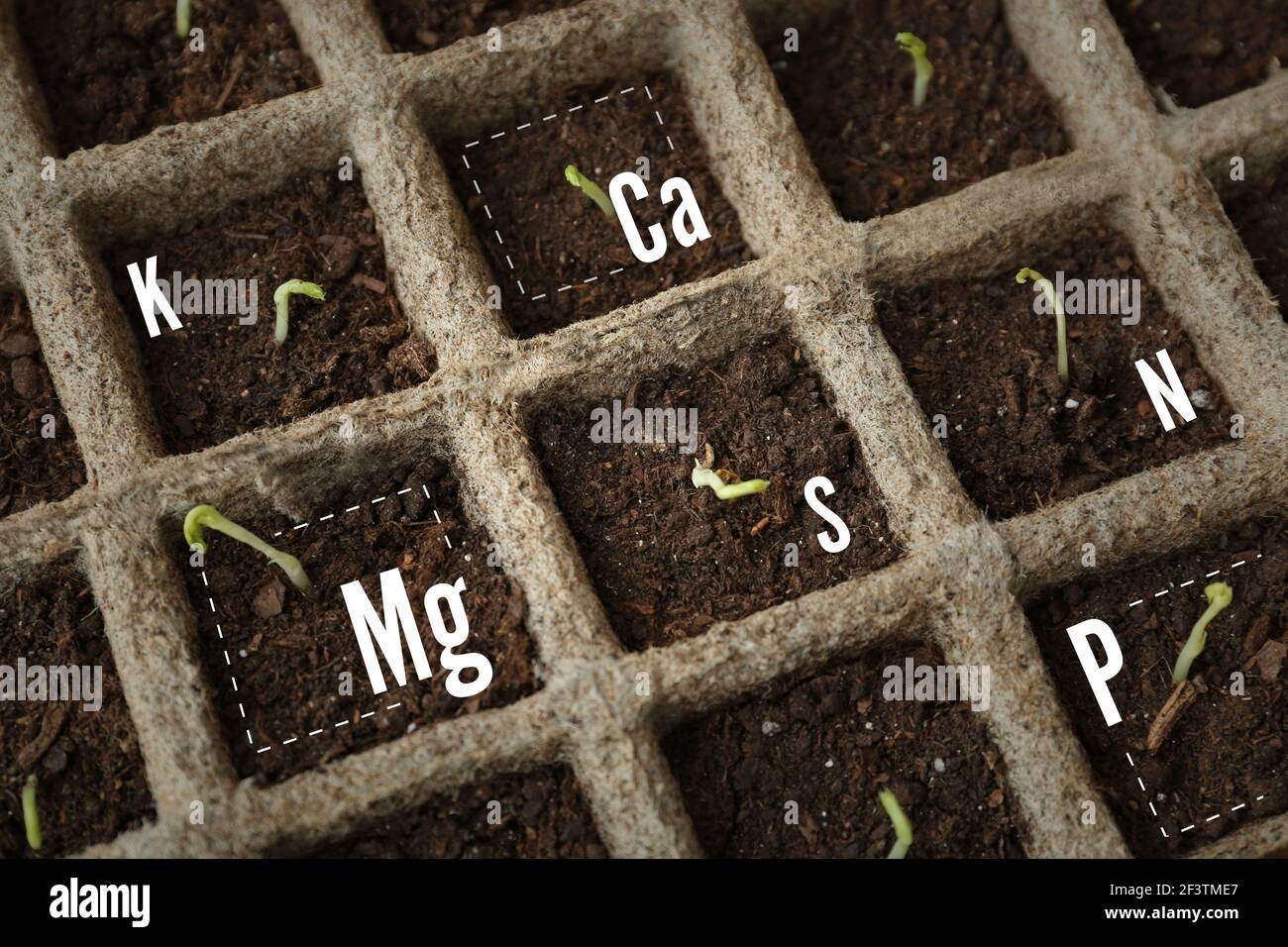 Soil enriched hi-res stock photography and images - Alamy