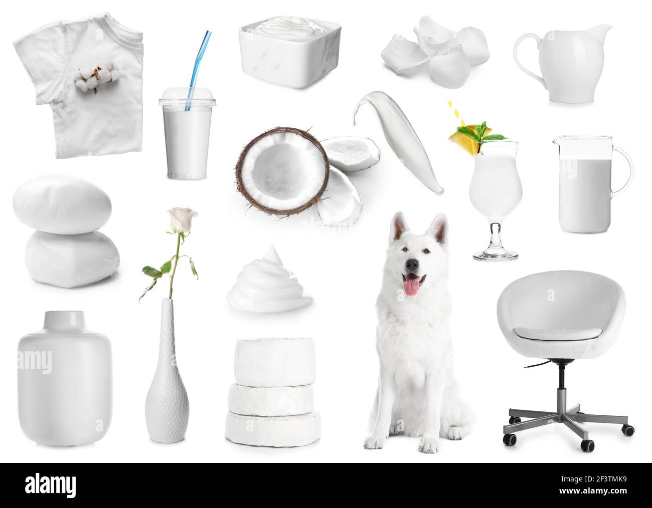 Collage of different objects on white background Stock Photo - Alamy