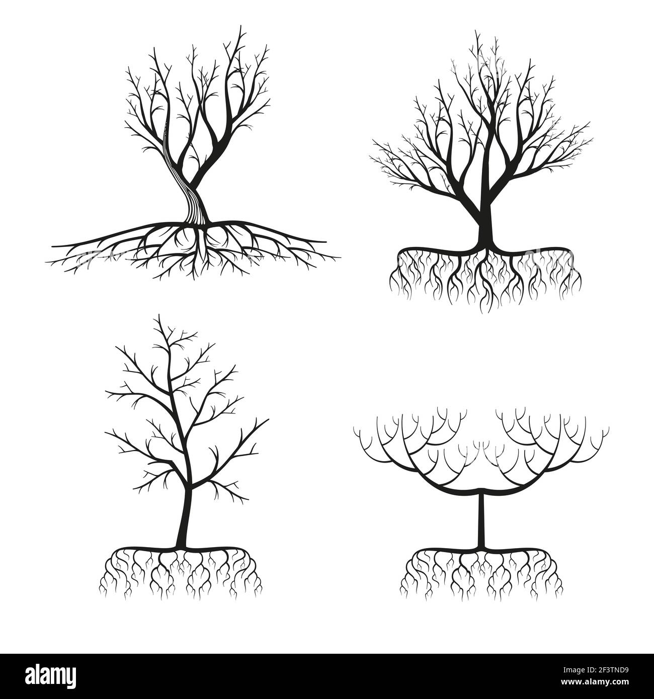 Black trees and roots. Nature root tree plants vector illustration ...