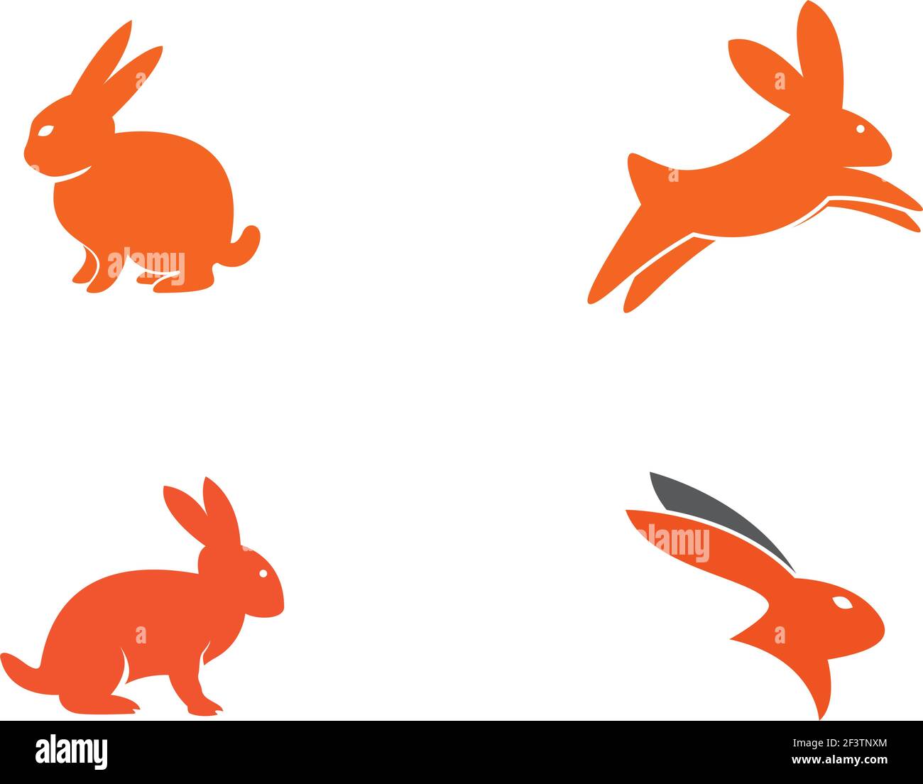 Rabbit Logo template vector icon illustration design Stock Vector Image ...