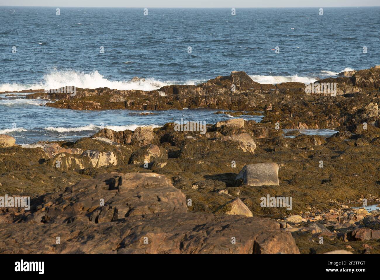Bass Rocks is on the eastern shore of Gloucester, Mass, the fishing ...