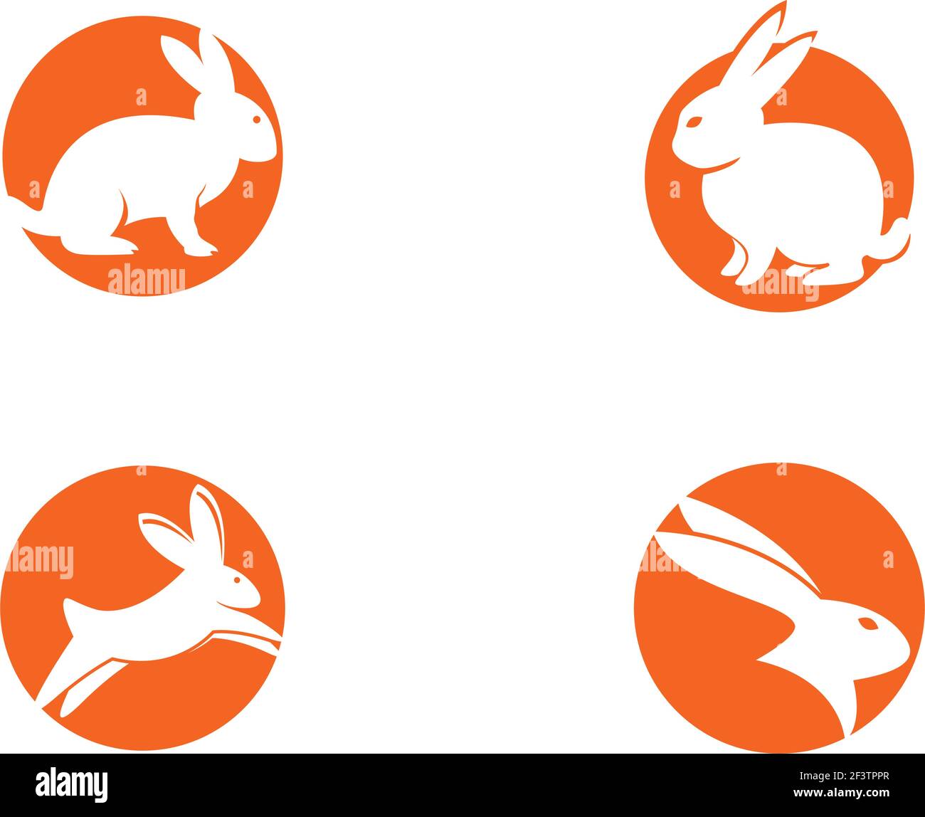 Rabbit Logo template vector icon illustration design Stock Vector Image ...