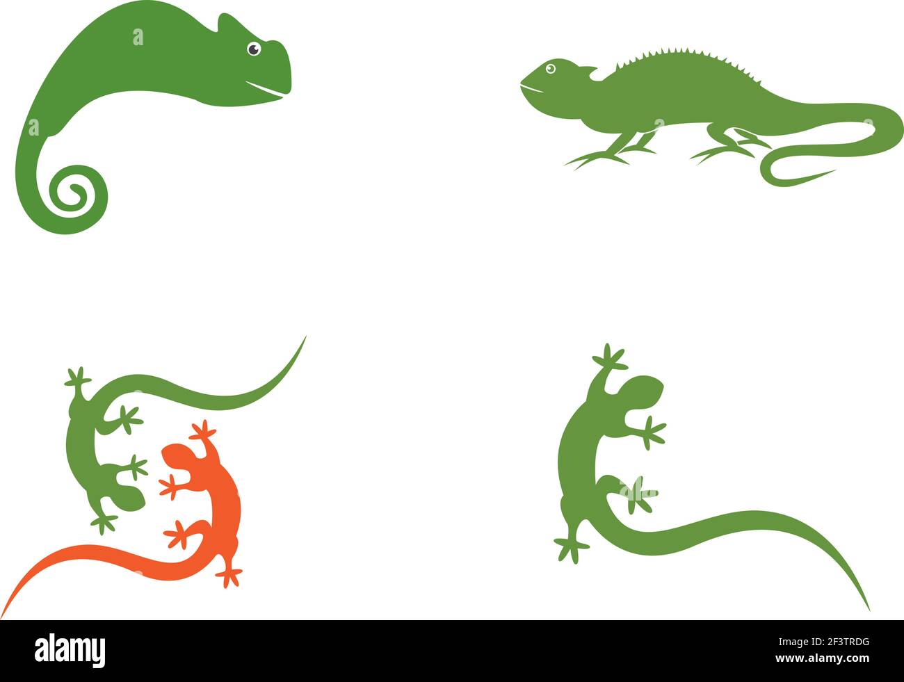 Lizard logo Stock Vector Images - Alamy