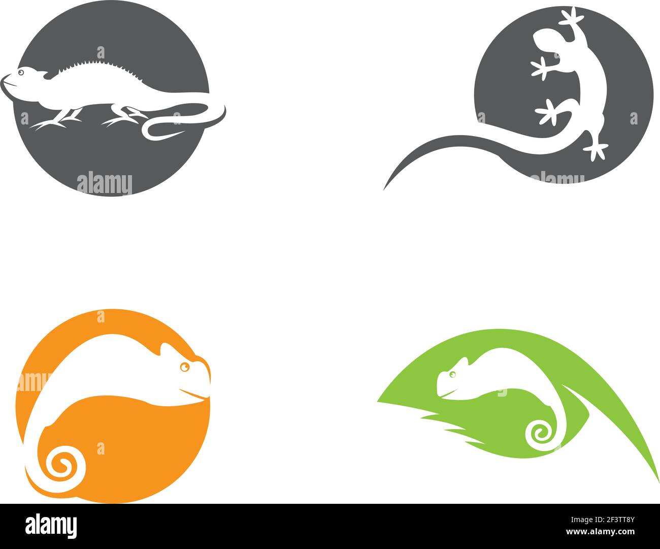 Lizard logo template vector icon illustration design Stock Vector Image ...