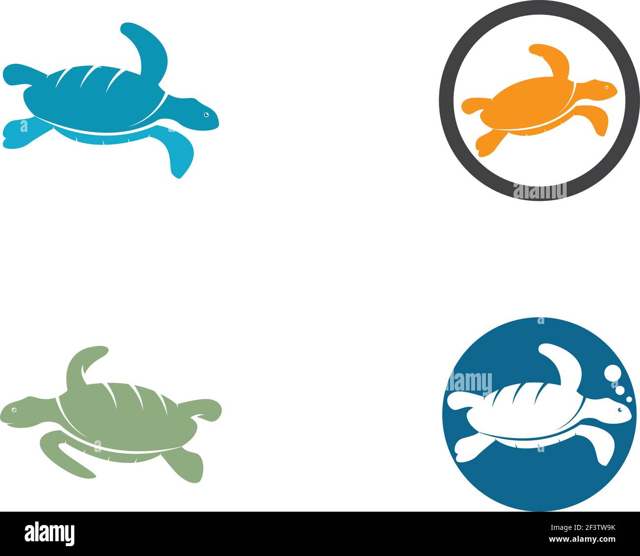 Turtle shell top view Stock Vector Images - Alamy