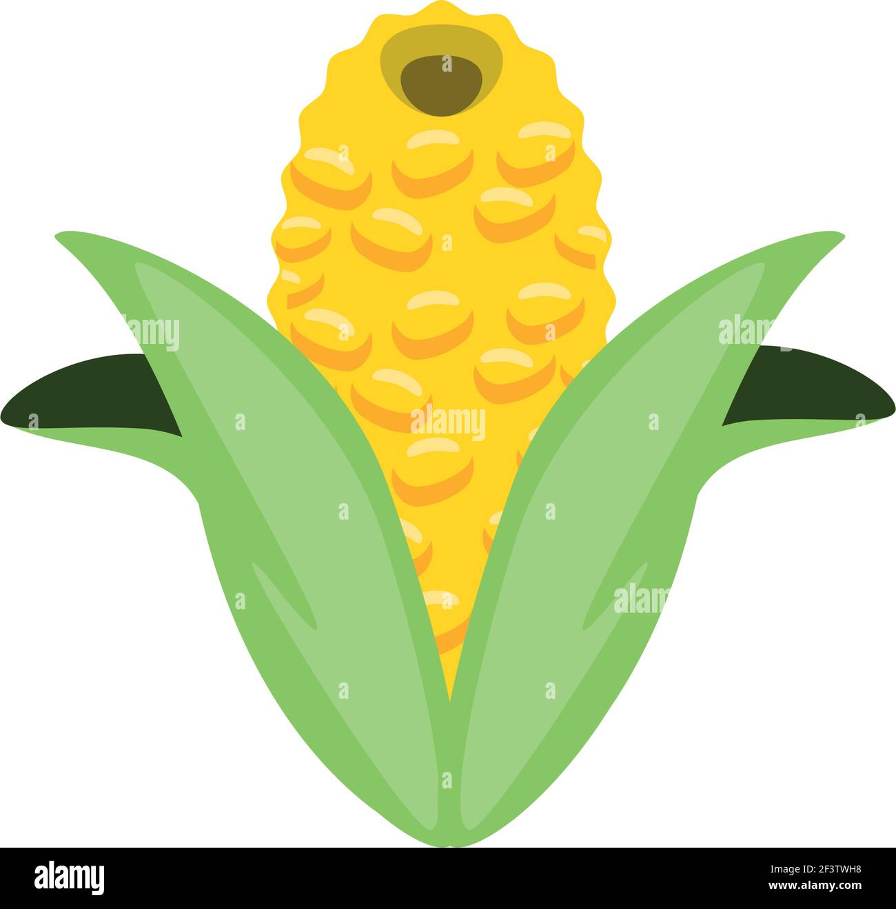corn cob food design isolated Stock Vector Image & Art - Alamy