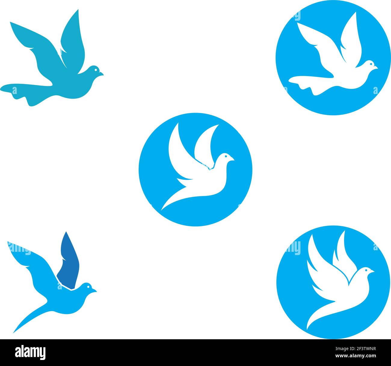 Dove logo template vector icon illustration design Stock Vector Image ...