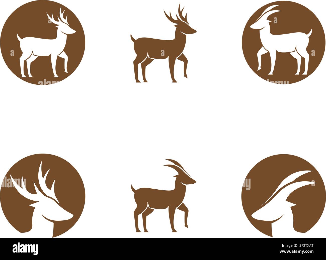 Deer logo template vector icon illustration design Stock Vector Image ...